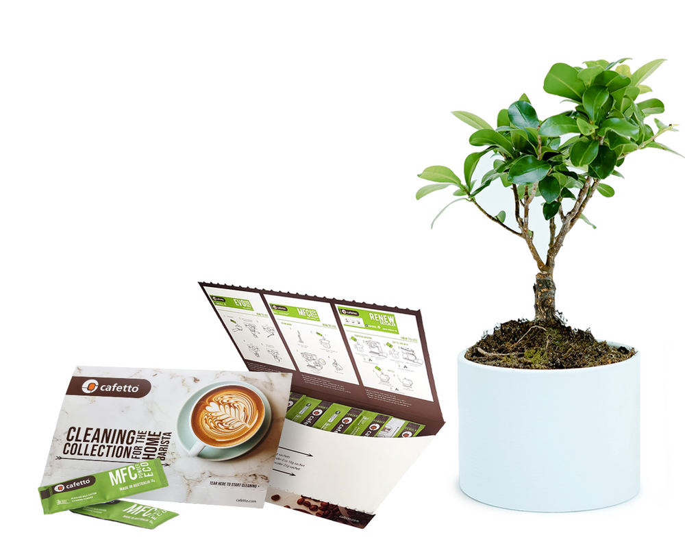 Specialist Coffee Cleaning & Sanitation Products | Cafetto